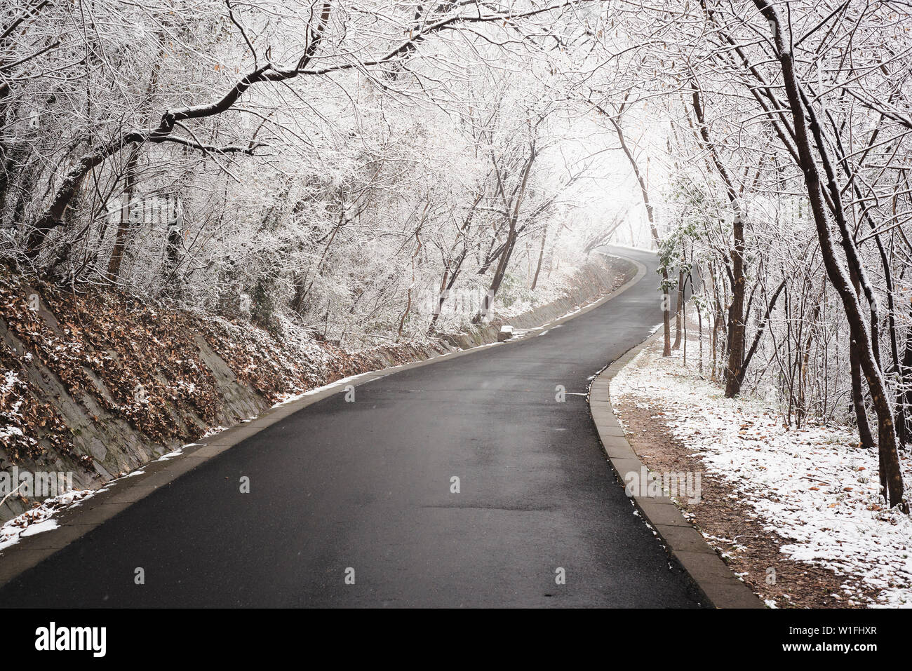 Ice cold landscape hi-res stock photography and images - Alamy