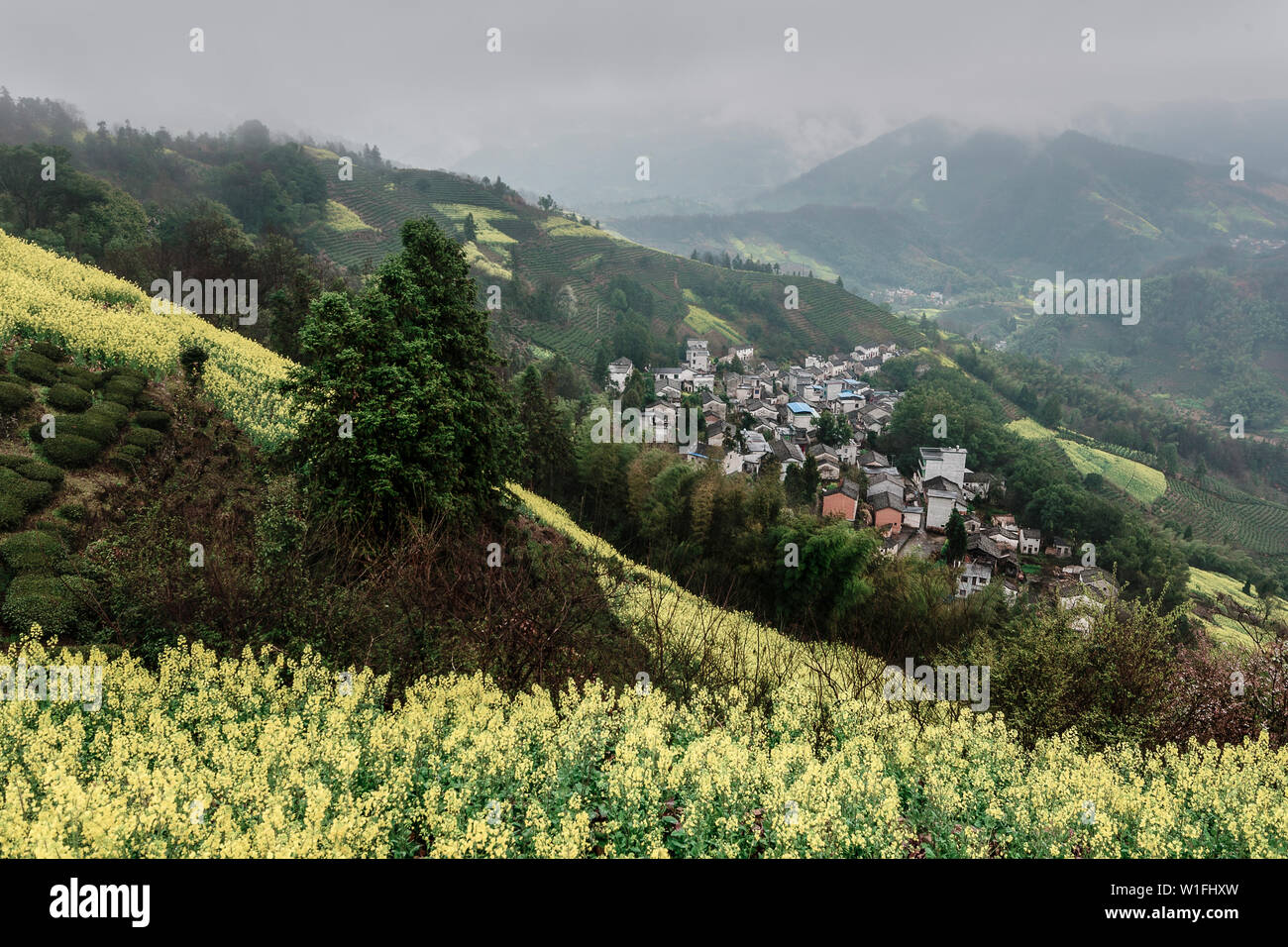 landscape tree sight valley nature Stock Photo - Alamy