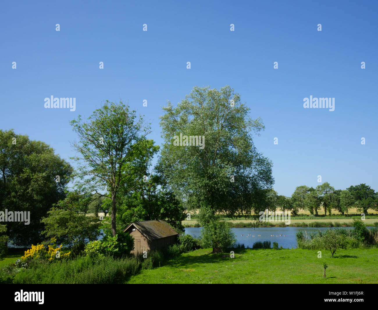 River Thames Idyllic Landscape runs next to The Ridgeway Path, Goring ...