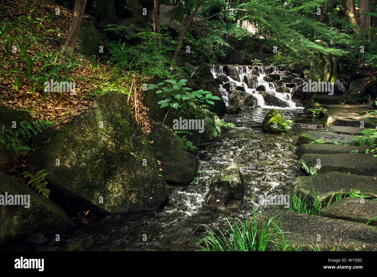 stream outdoors water river wood Stock Photo - Alamy