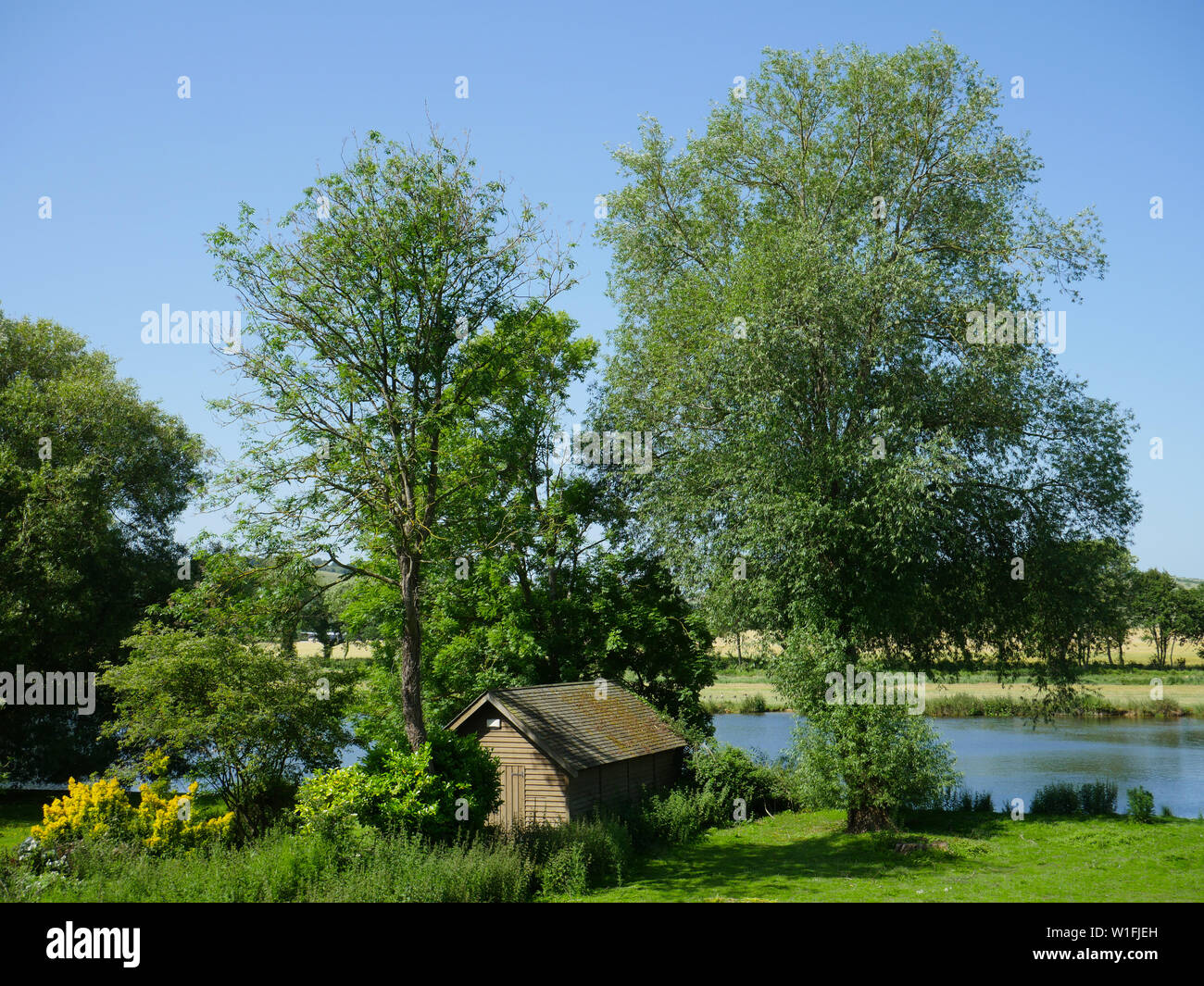 River Thames Idyllic Landscape runs next to The Ridgeway Path, Goring ...