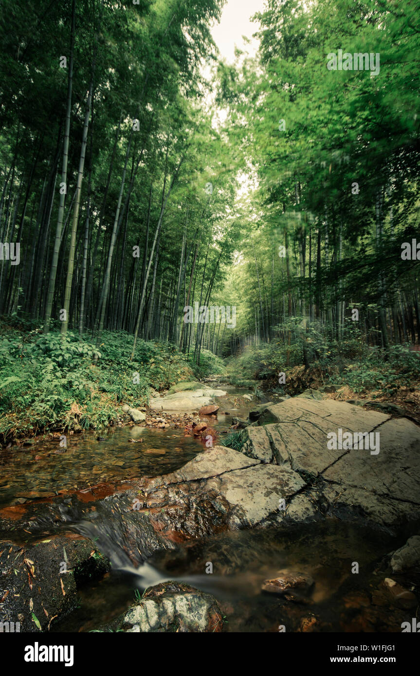 nature water tree wood landscape Stock Photo - Alamy