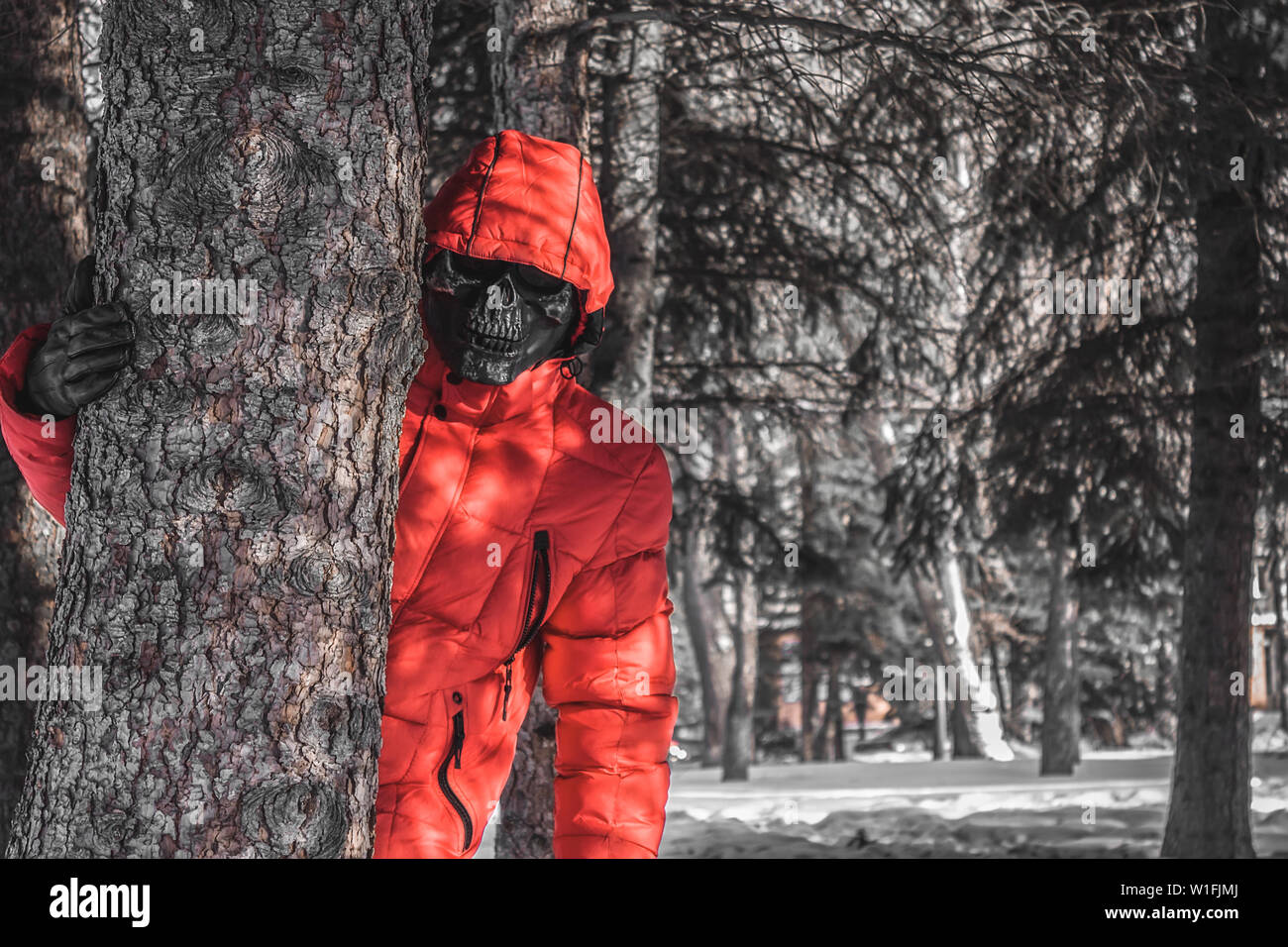 Great danger in the forests, killer on the hunt Stock Photo - Alamy