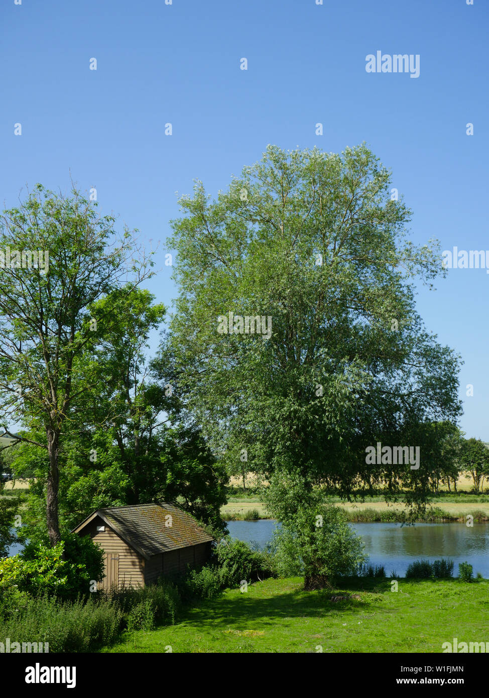 River Thames Idyllic Landscape runs next to The Ridgeway Path, Goring ...