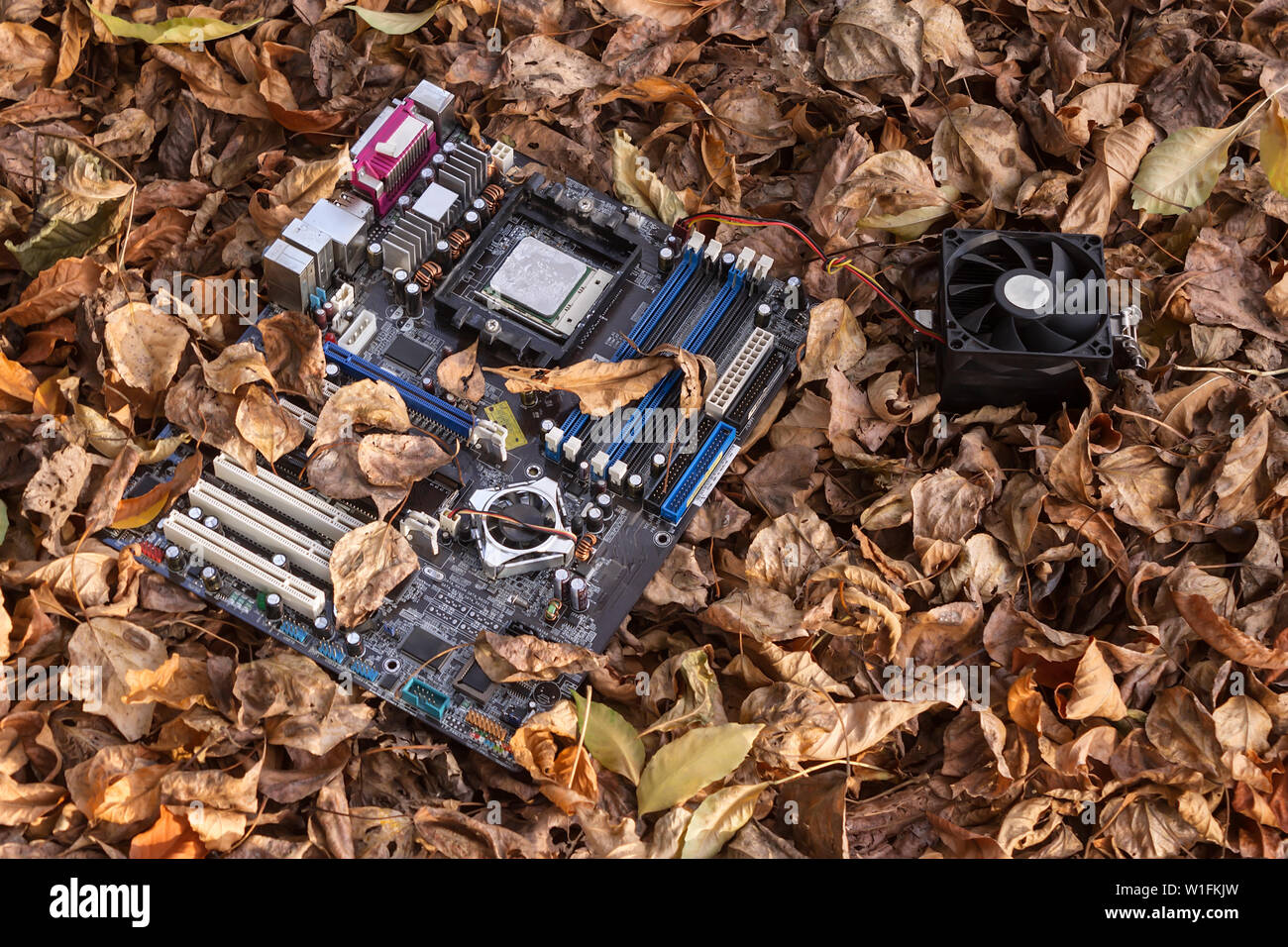 Non-working computer motherboard thrown into the street Stock Photo - Alamy