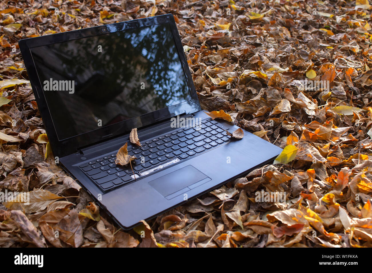 Thrown out a broken laptop in a landfill. Lined with fall foliage Stock ...