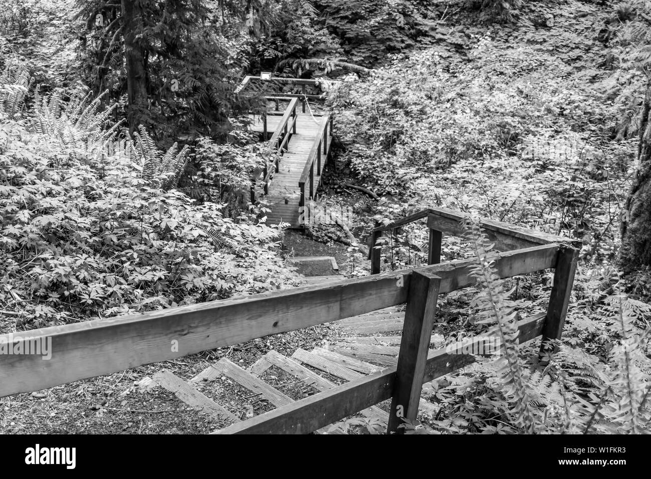 Steps from platform Black and White Stock Photos & Images - Alamy