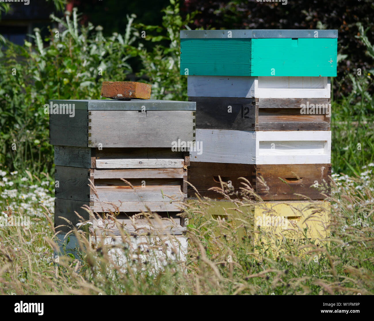 Beehive uk hi-res stock photography and images - Alamy