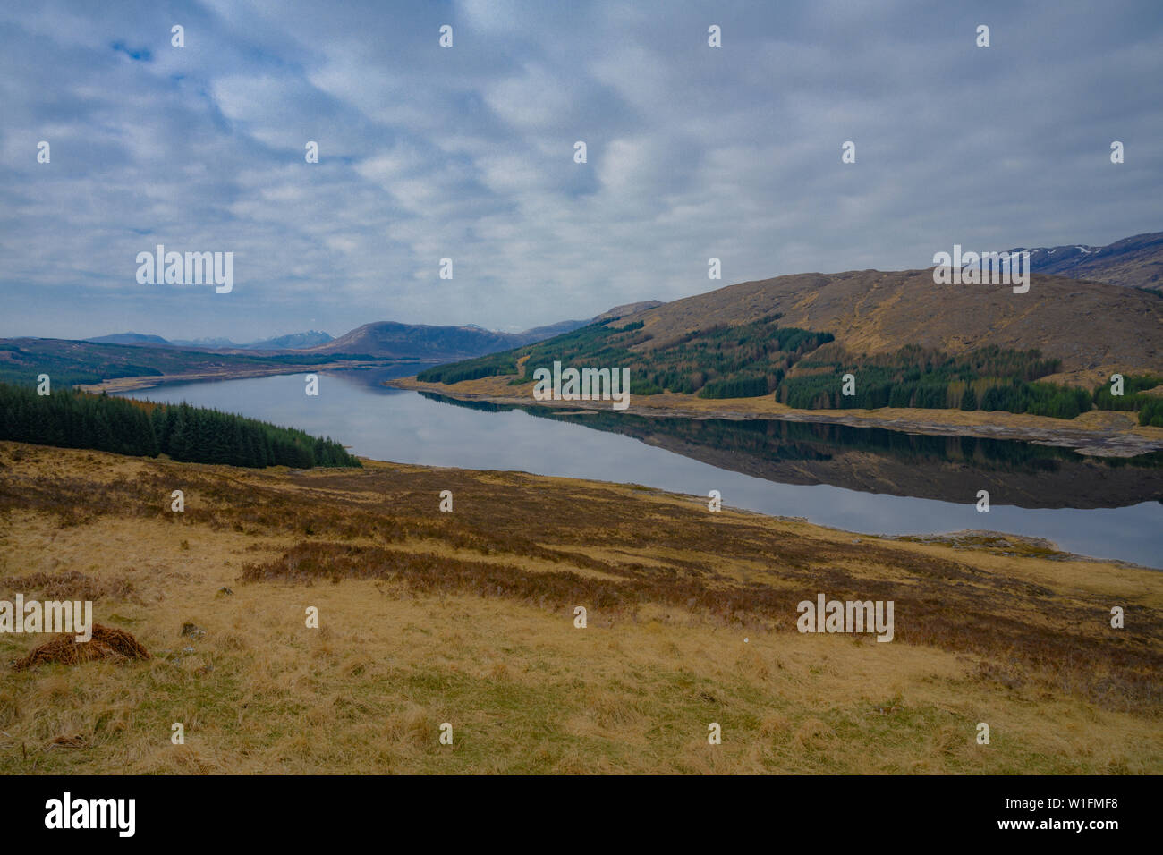 View of Loch Loyne in Scottish Highlands Stock Photo - Alamy