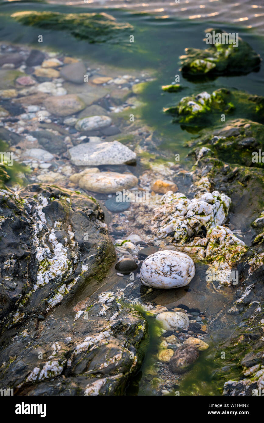 Rockpool cornwall hi-res stock photography and images - Alamy