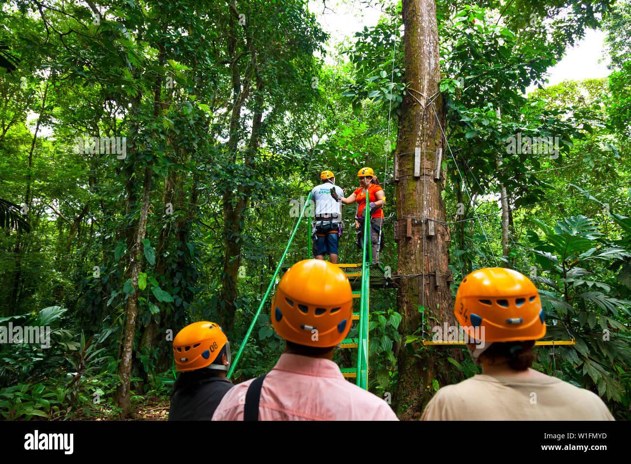 Canopy Trail, Tortuguero National Park, Costa Rica, Central America ...