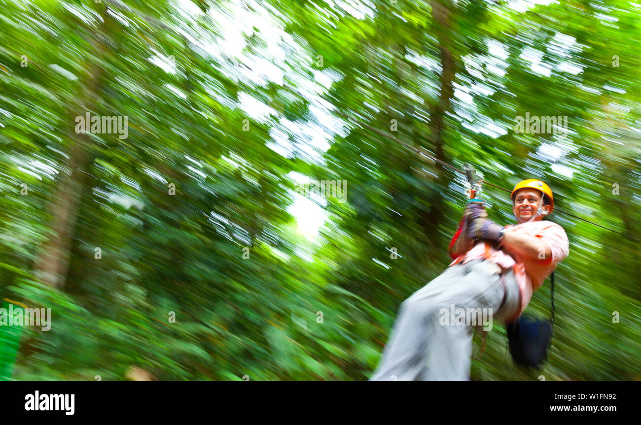 Canopy Trail, Tortuguero National Park, Costa Rica, Central America ...