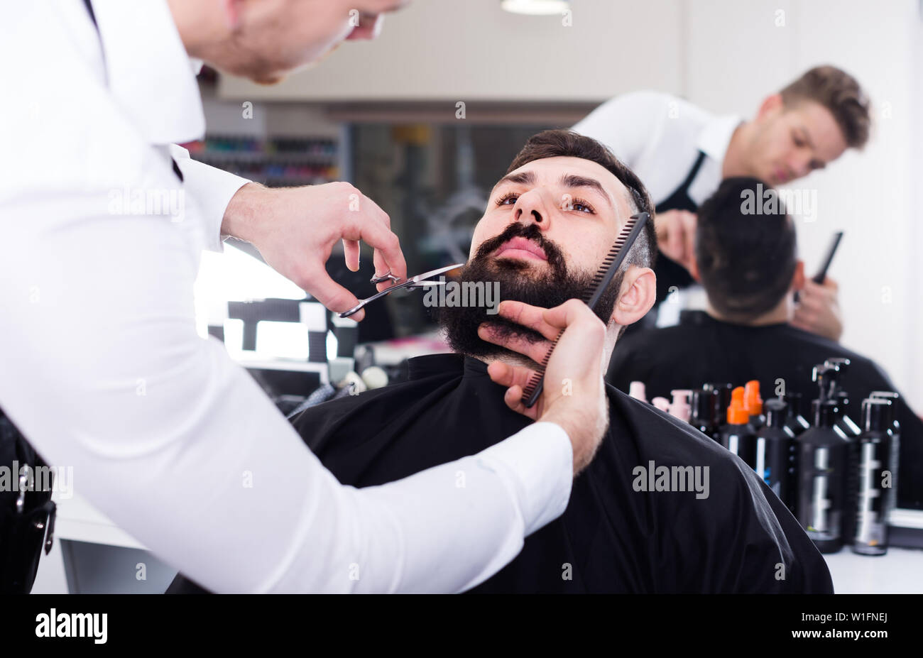 Happy stylist creating new shape for beard of client at hairdressing ...