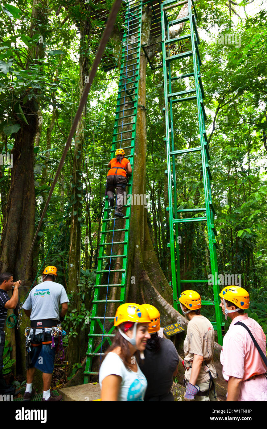 Canopy Trail, Tortuguero National Park, Costa Rica, Central America ...