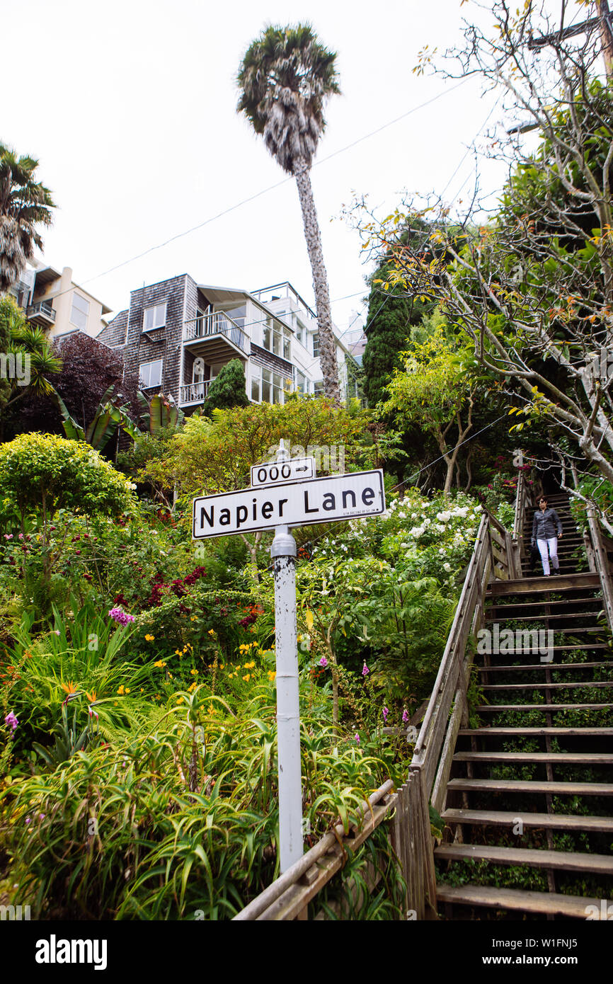 Napier Lane
