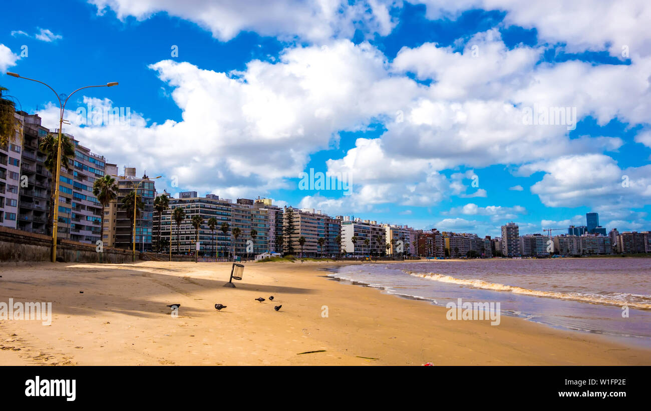 View on the Skyline and the Beach in the neighborhood of Pocitos in ...