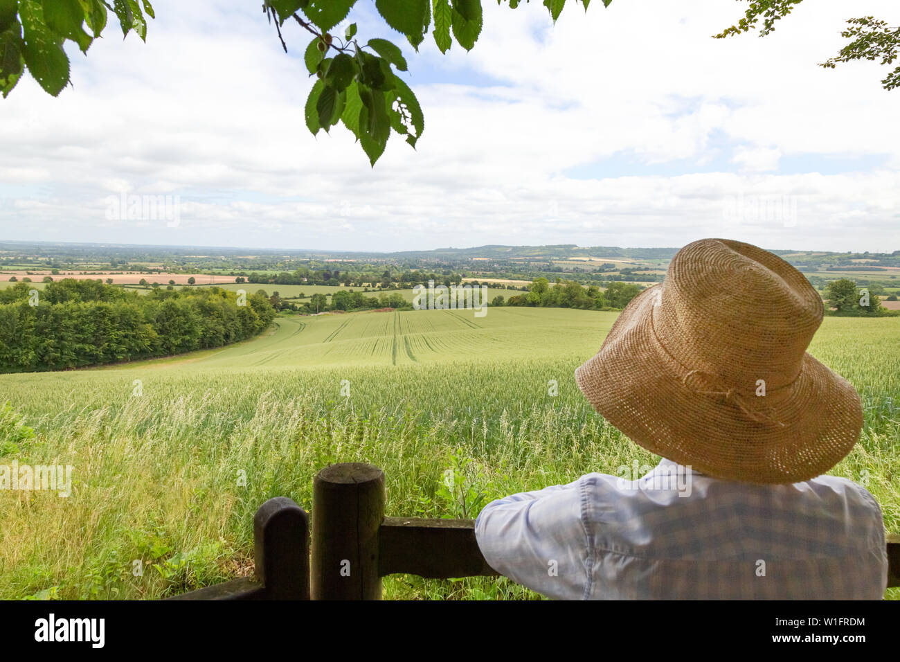 English summer countryside hi-res stock photography and images - Alamy