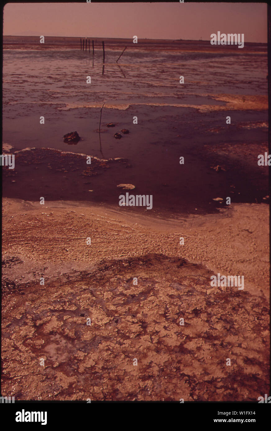 Leslie salt hi-res stock photography and images - Alamy