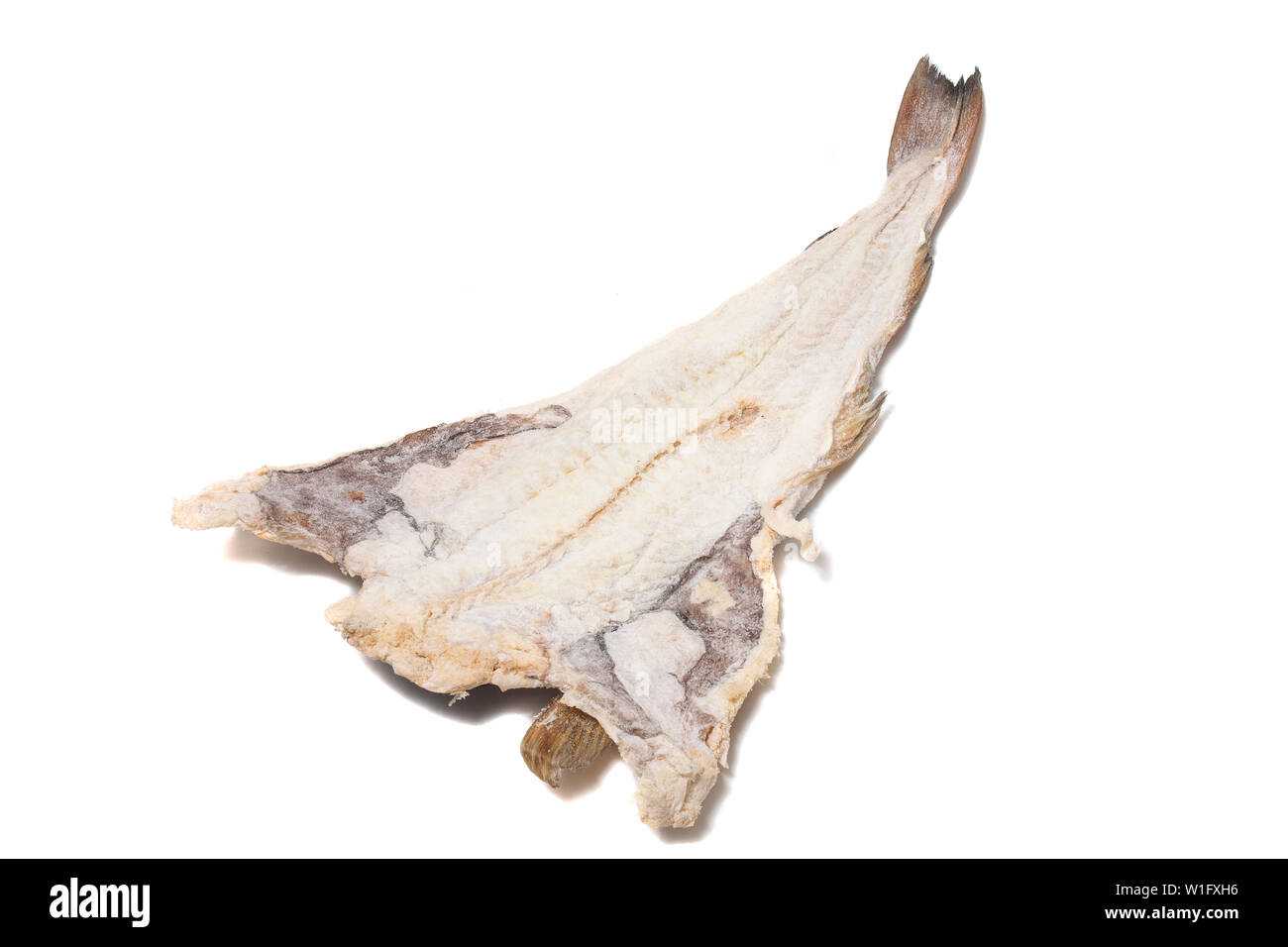 Dehydrated fish Cut Out Stock Images & Pictures - Alamy