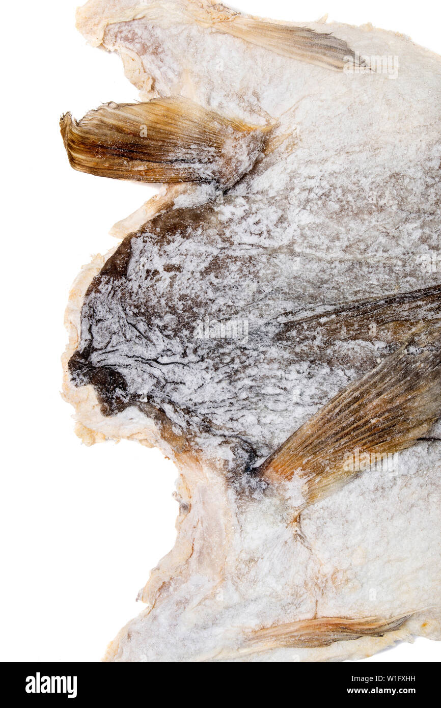 Close up view of a portuguese salted codfish isolated on white ...