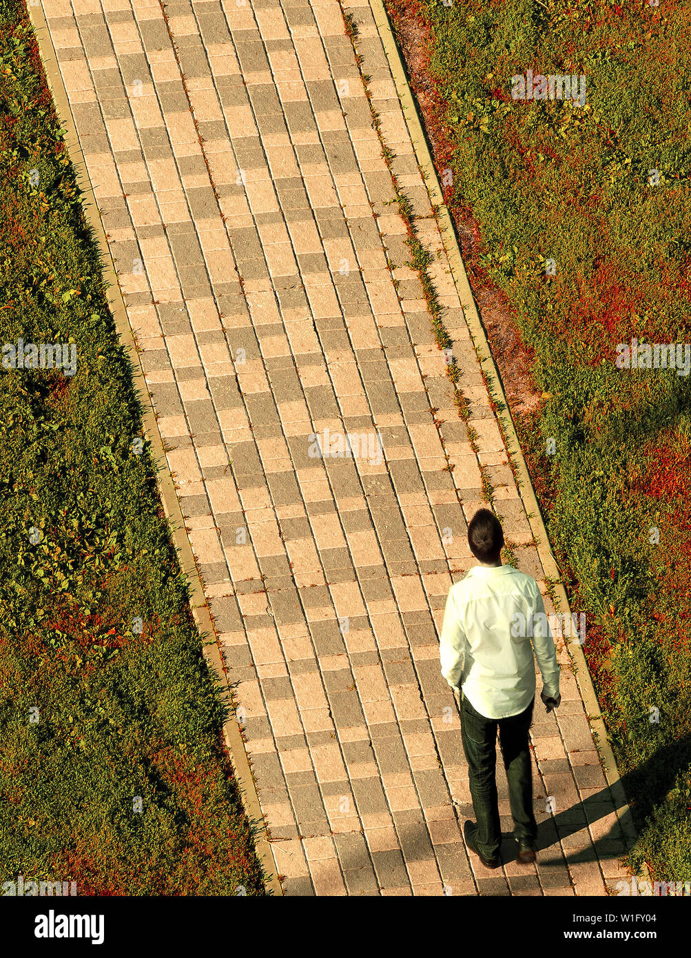 Back view young businessman walking hi-res stock photography and images ...