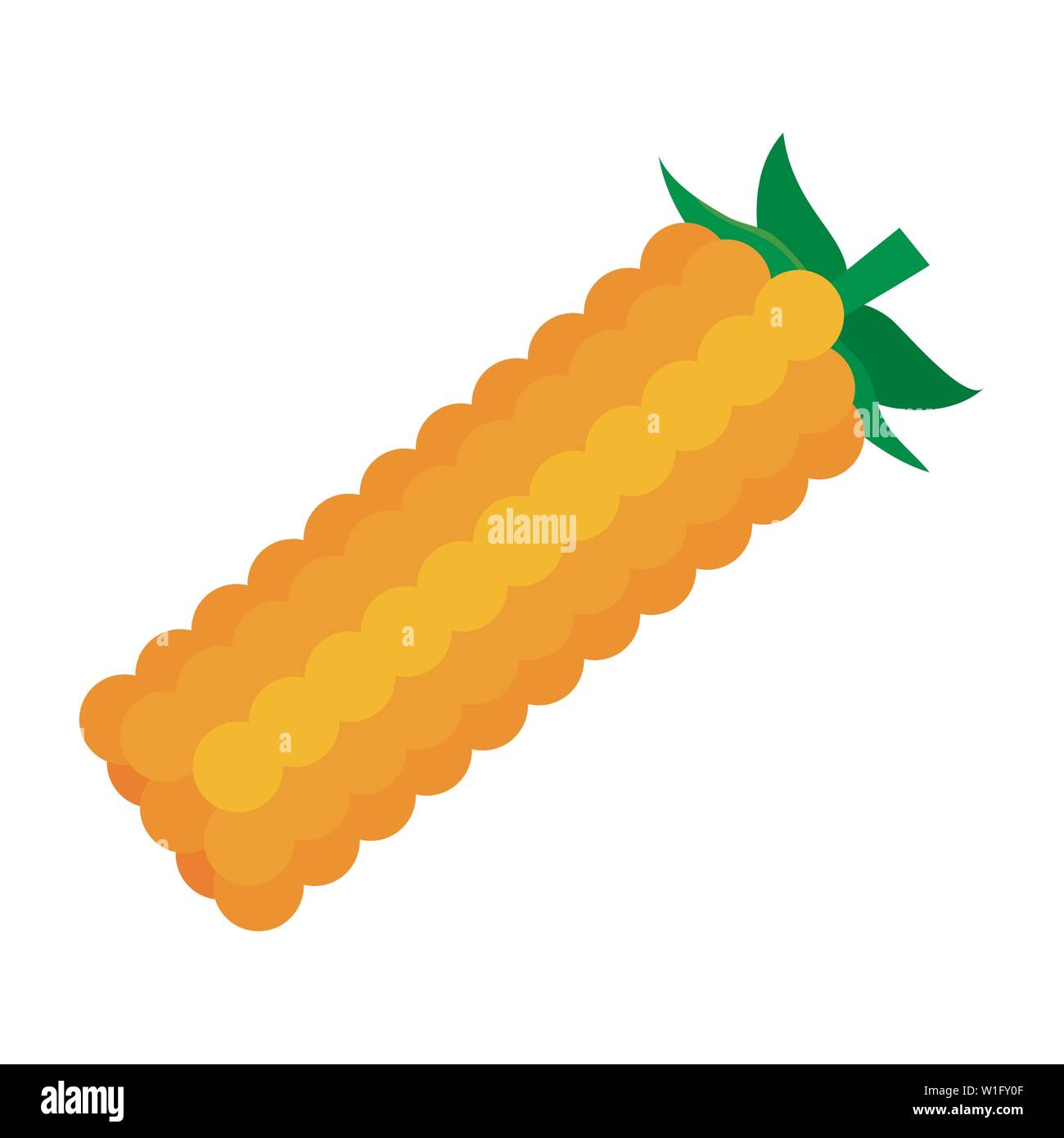 Corn design, Food vegetable agriculture green plant maize cob and ...