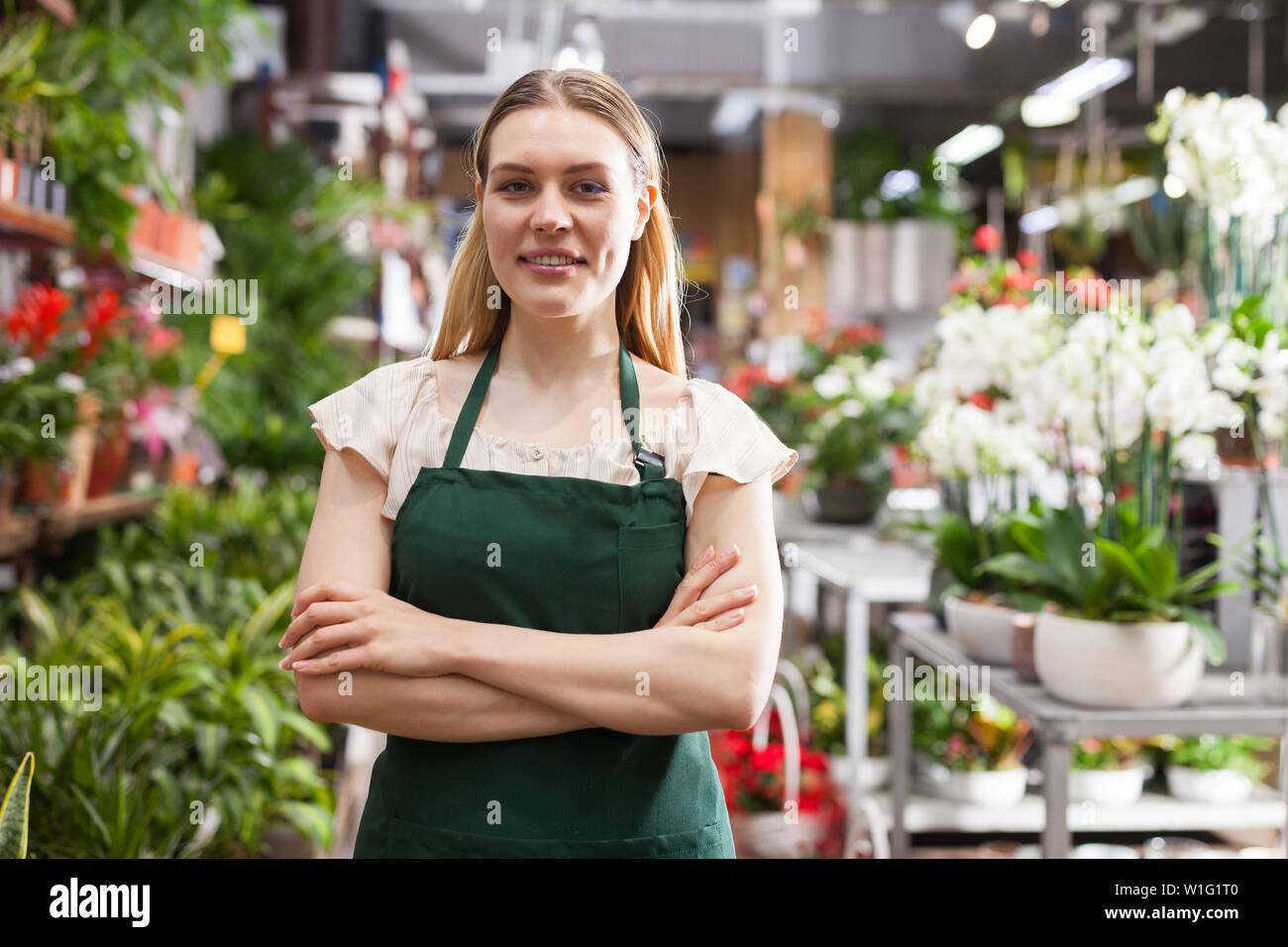 Portrait of florist with basket of red roses in flower shop Stock Photo ...