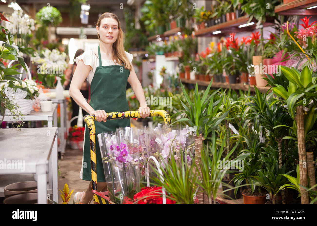 Delivering Plants High Resolution Stock Photography and Images - Alamy