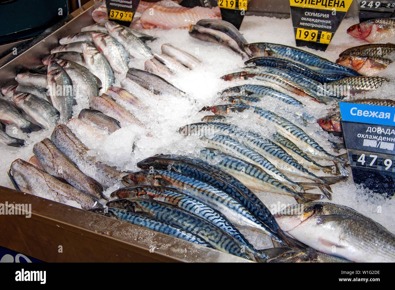 Chilled fish hi-res stock photography and images - Alamy