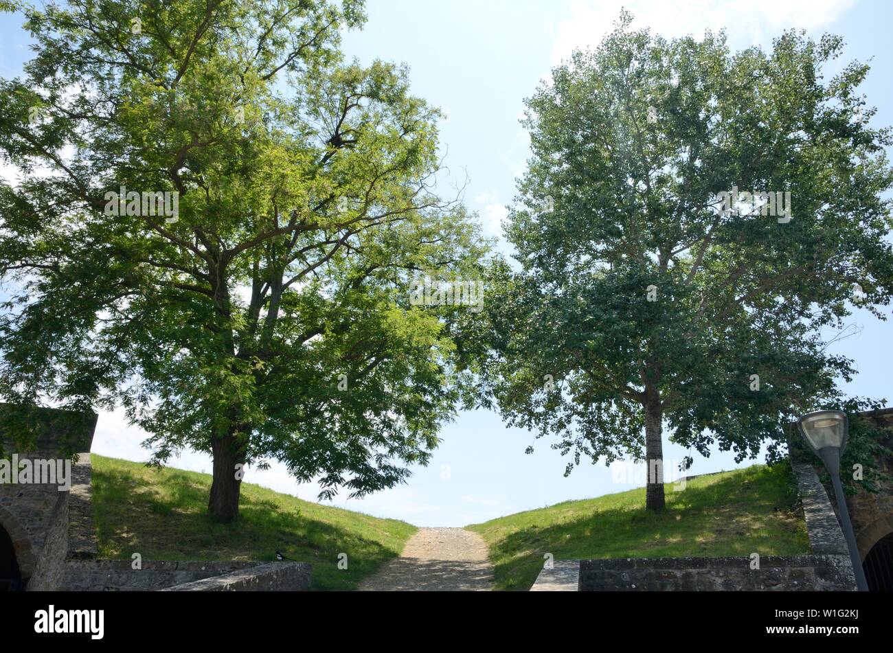 Footpath among trees at the Citadel of Pamplona, the capital of the ...