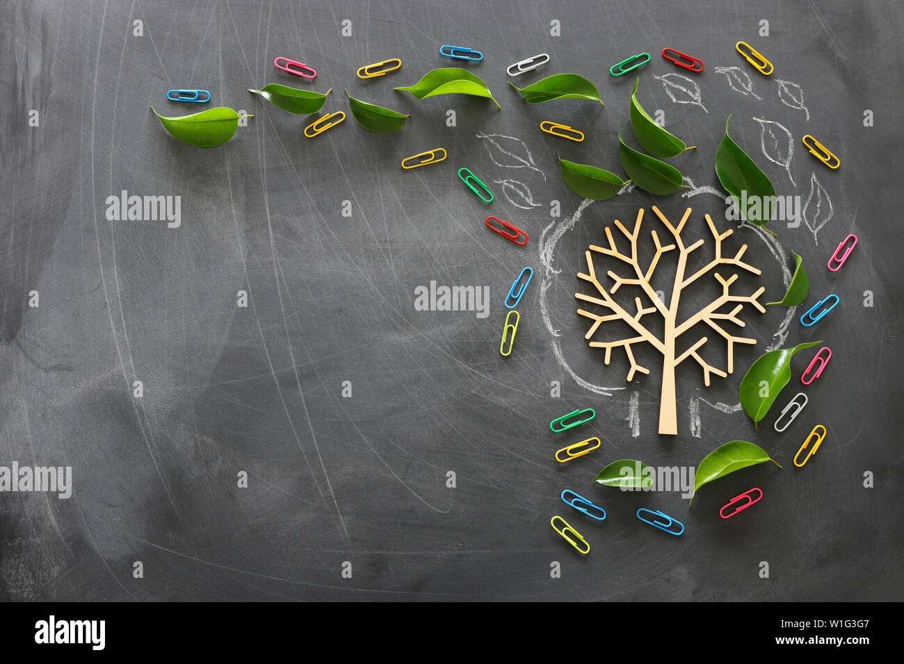 education and business concept. Top view banner of wooden tree and ...