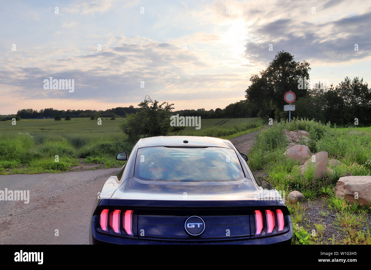 Black Holstein High Resolution Stock Photography and Images - Alamy