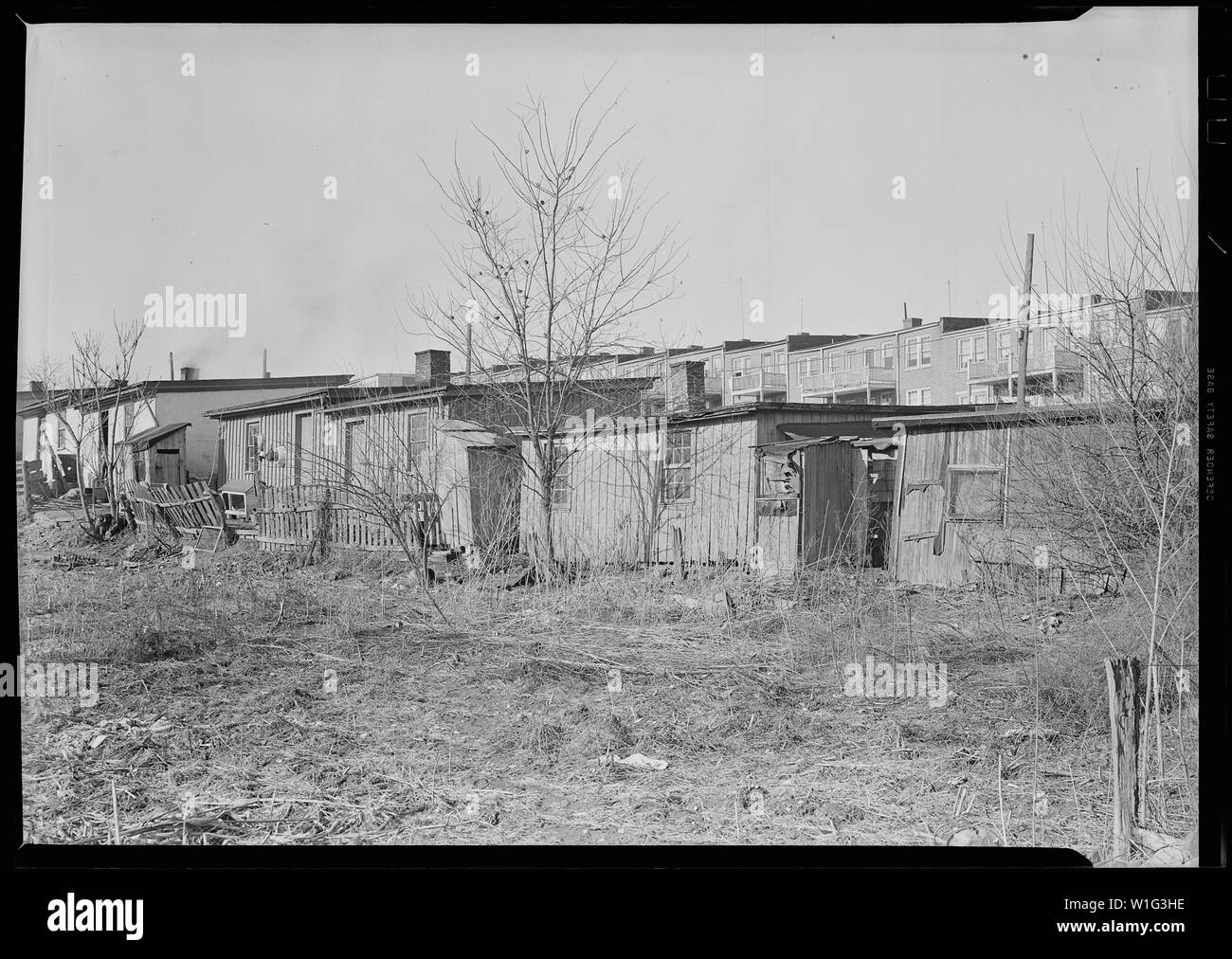 Barney street hi-res stock photography and images - Alamy