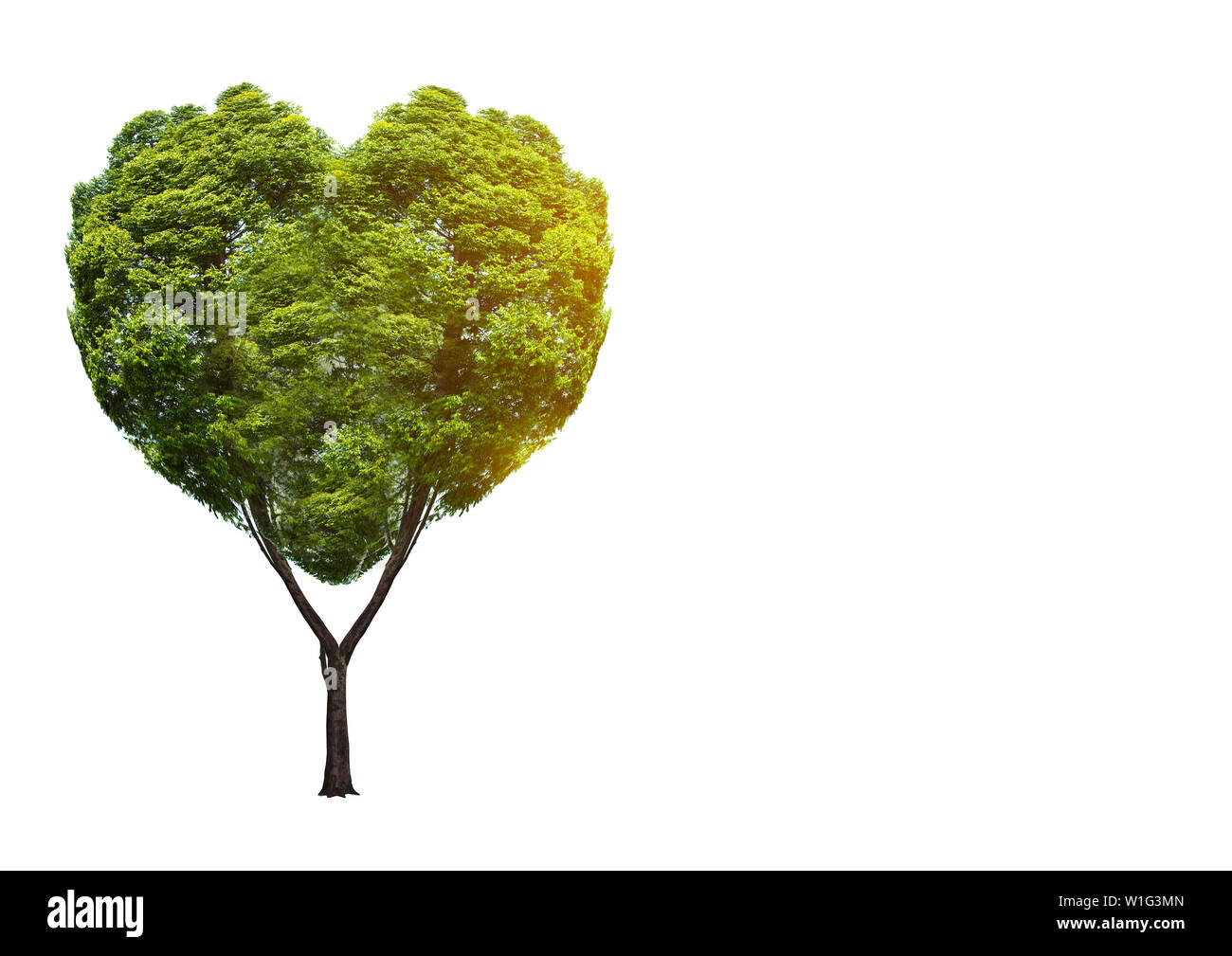 Tree and roots vector black hi-res stock photography and images - Alamy