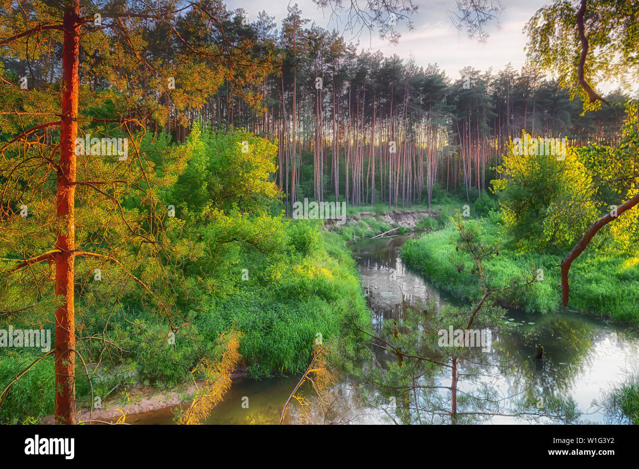 Mysterious River Grabia in spring day, Poland Stock Photo - Alamy