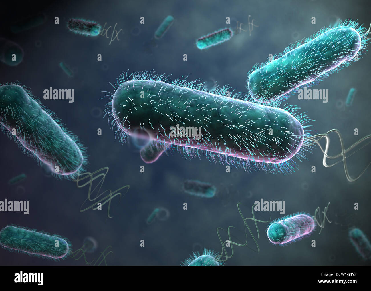 Flagella hi-res stock photography and images - Alamy