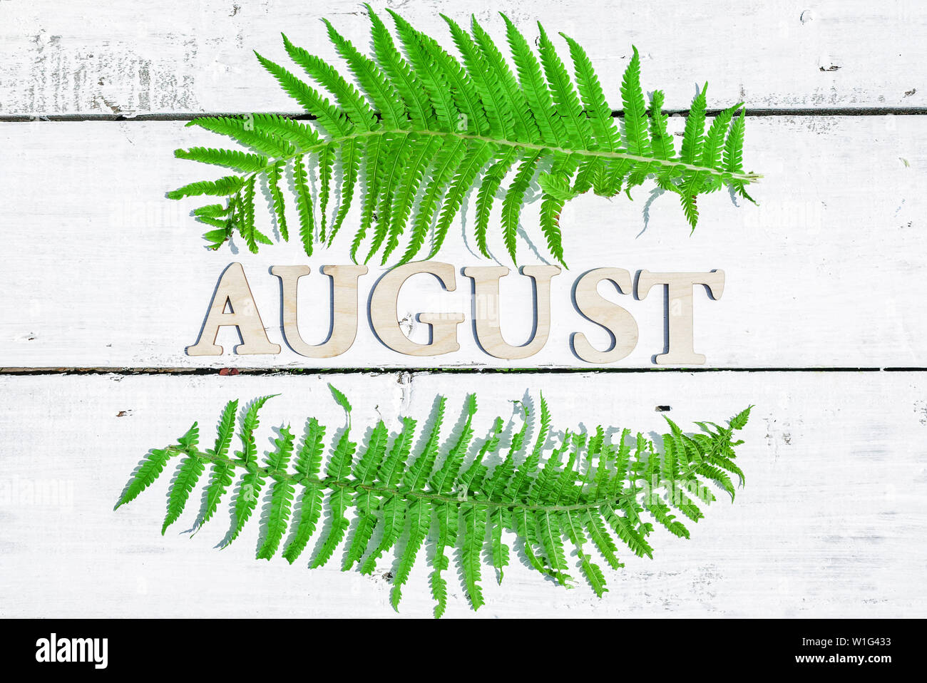Word August and fern leaves on a white wooden rustic background. Summer ...