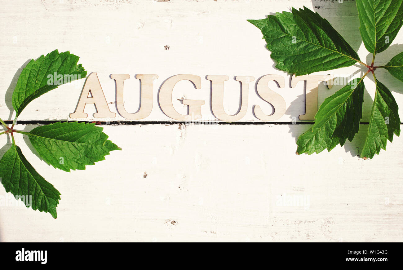 Horizontal banner: Word August and green leaves on a white wooden ...