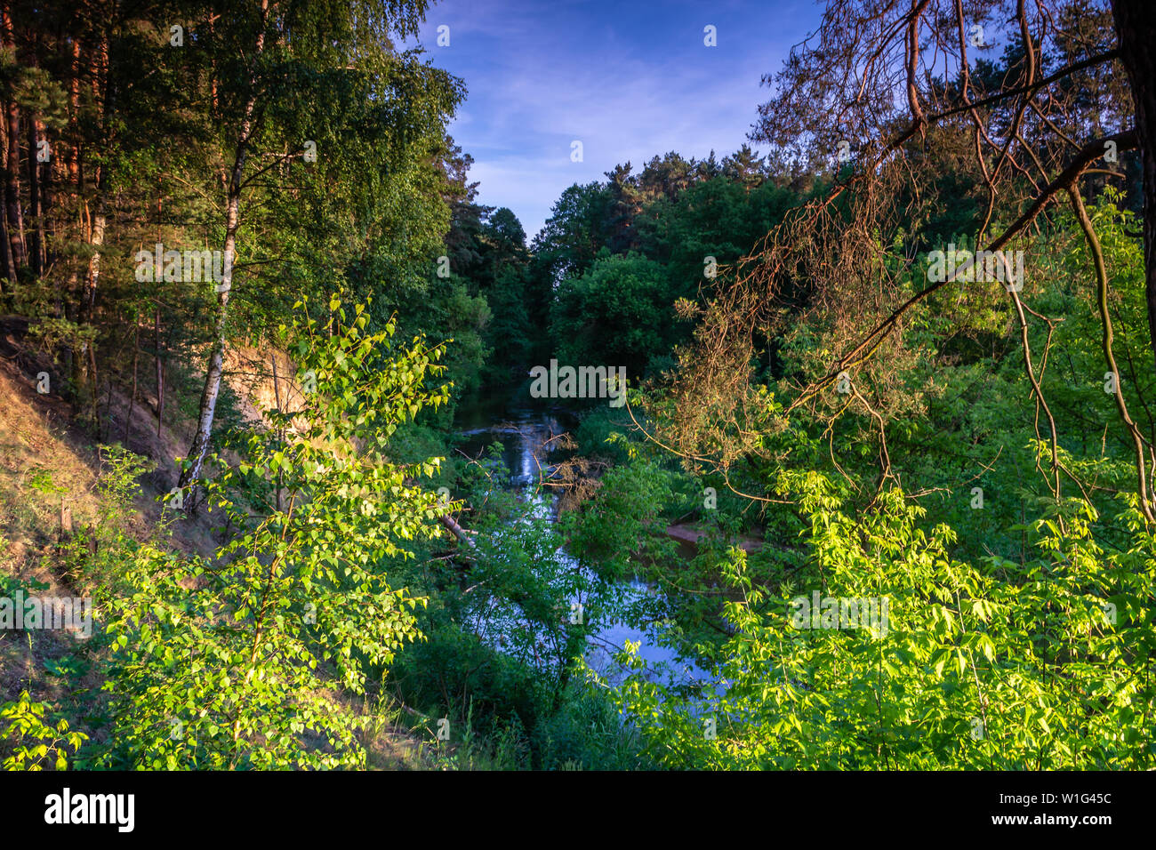 Mysterious River Grabia in spring day, Poland Stock Photo - Alamy