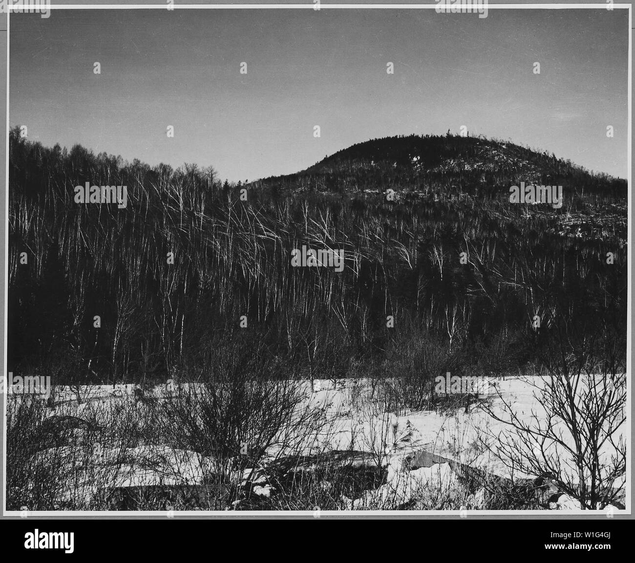Landaff, Grafton County, New Hampshire. The hillside shown in this ...