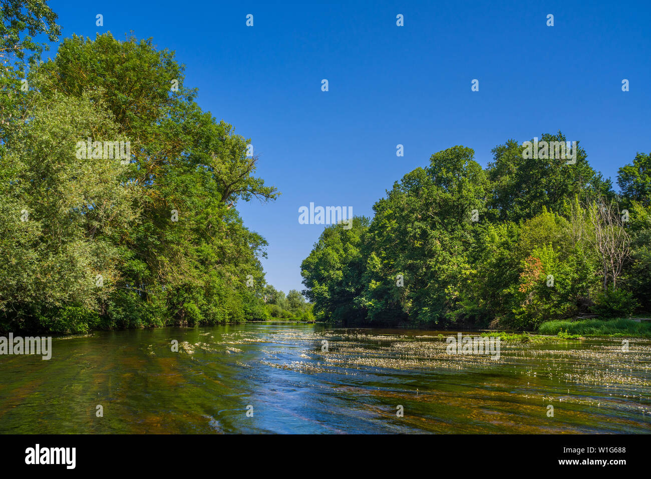 Tree lined river hi-res stock photography and images - Alamy