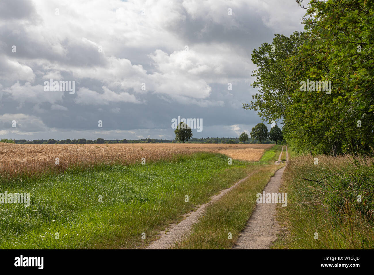 Narrow path to heaven hi-res stock photography and images - Alamy
