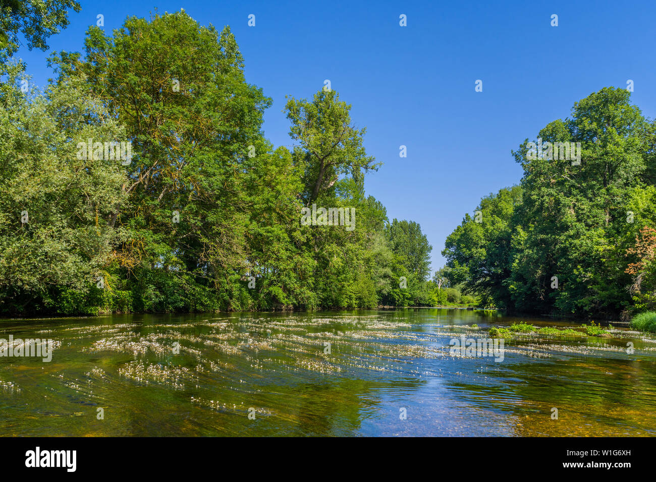 Tree lined river hi-res stock photography and images - Alamy