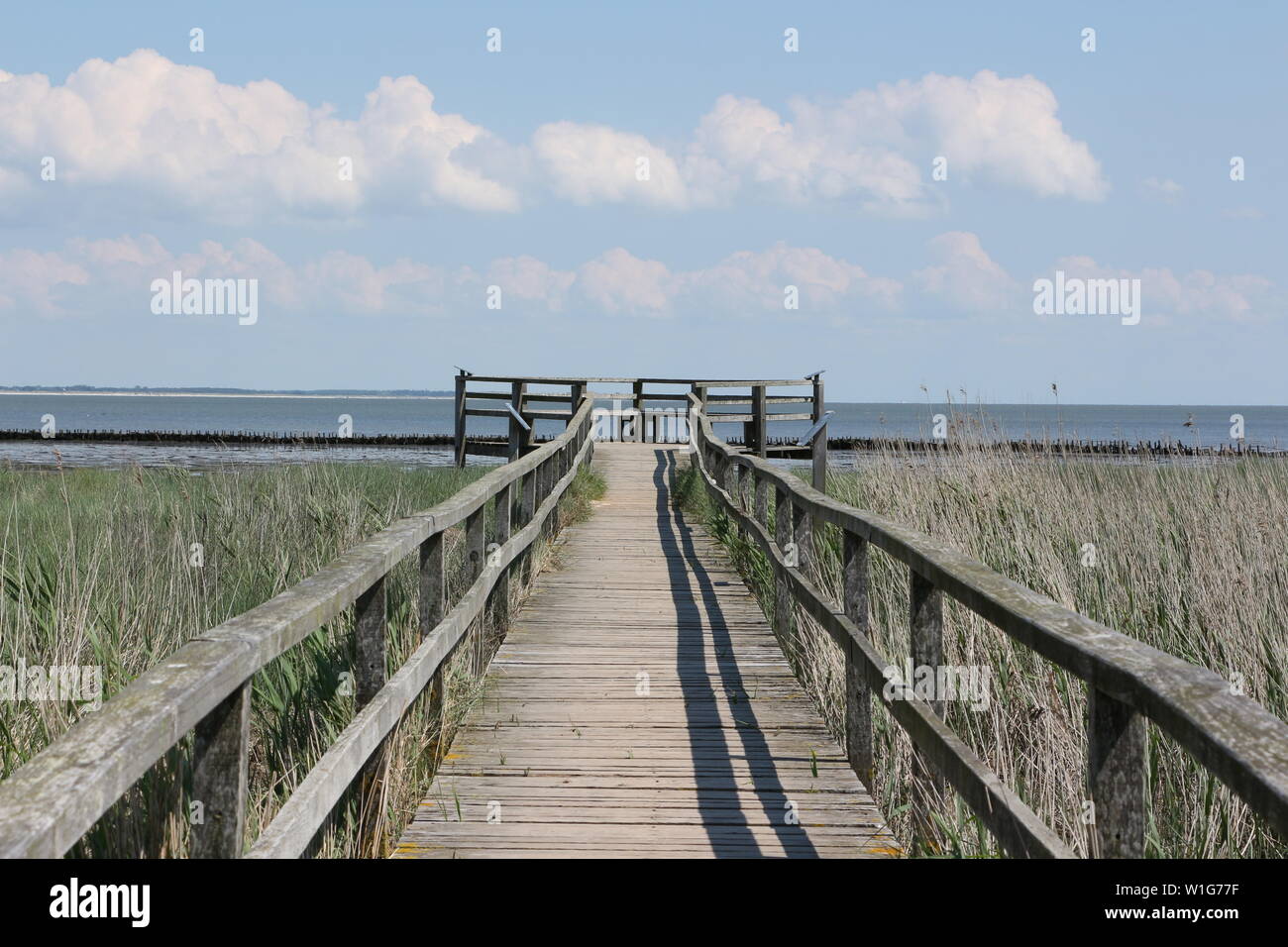 Sommer auf der Nordseeinsel Amrum Stock Photo - Alamy