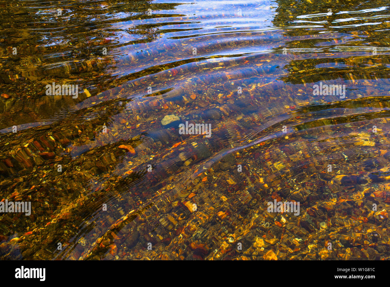 Shallow water river hi-res stock photography and images - Alamy