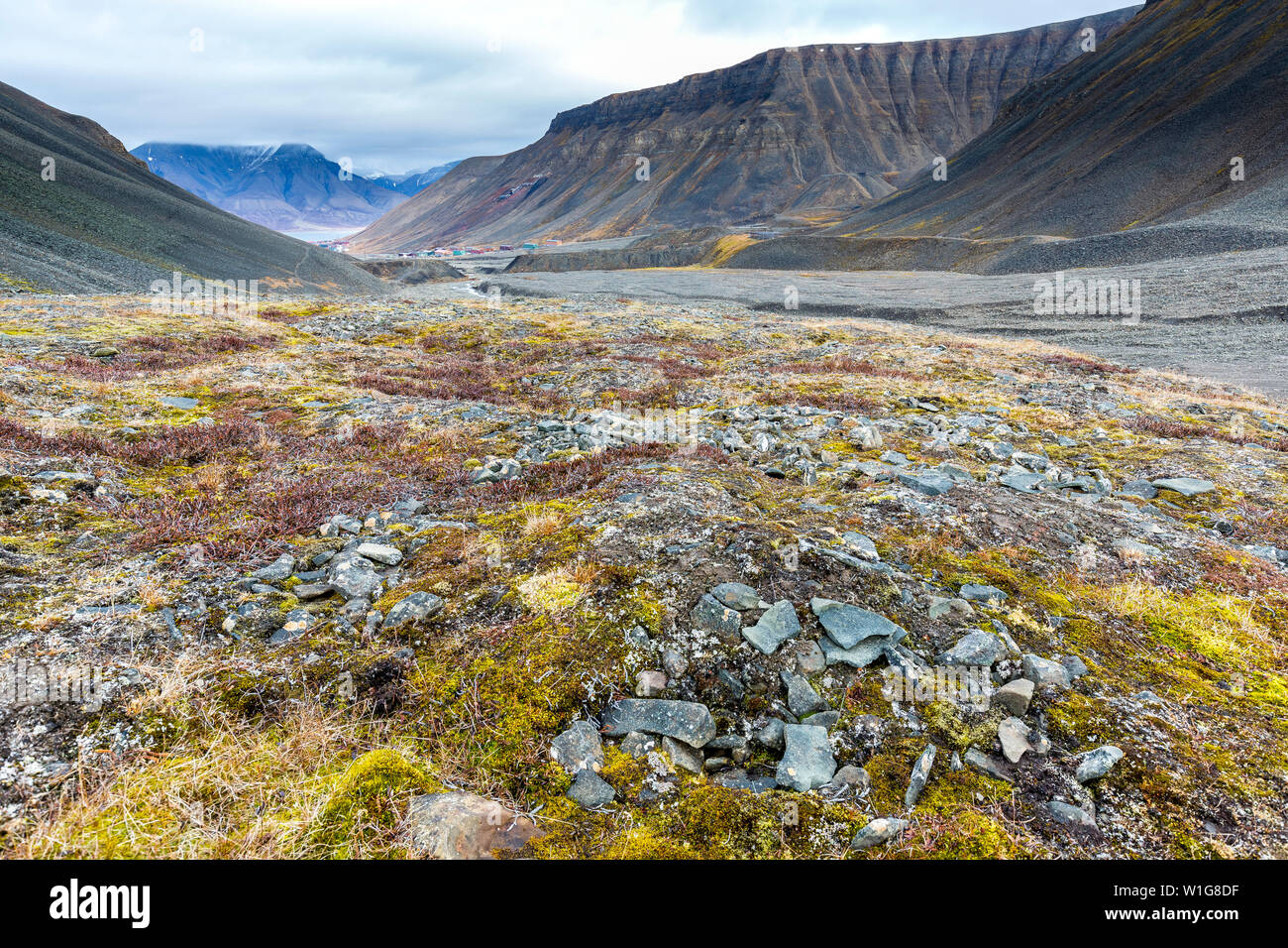 Tundra of svalbard hi-res stock photography and images - Alamy