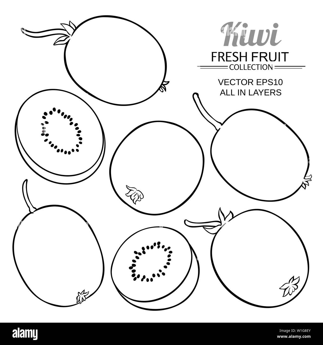 Set kiwi on green Stock Vector Images - Alamy