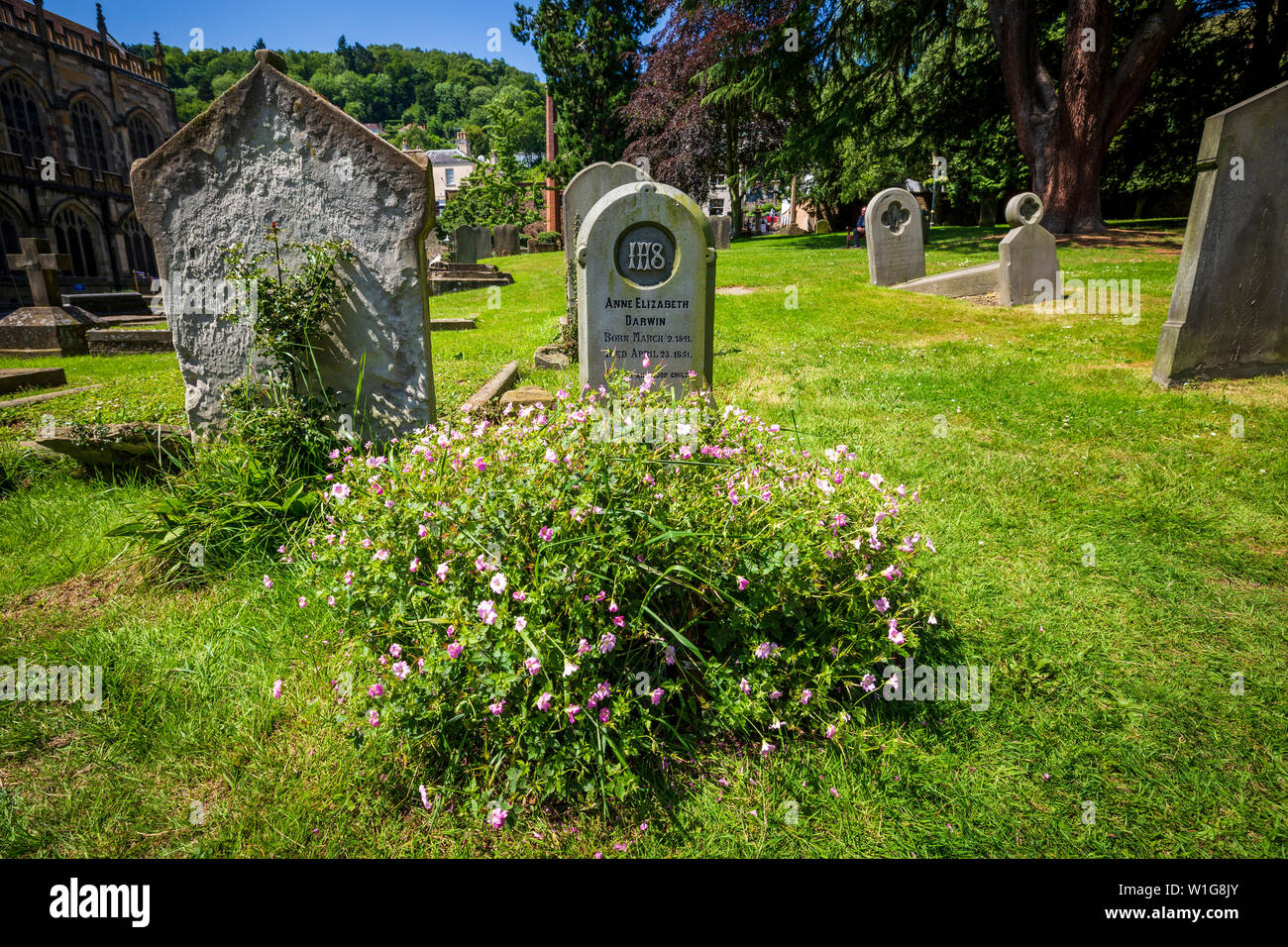 Young darwin charles hi-res stock photography and images - Alamy