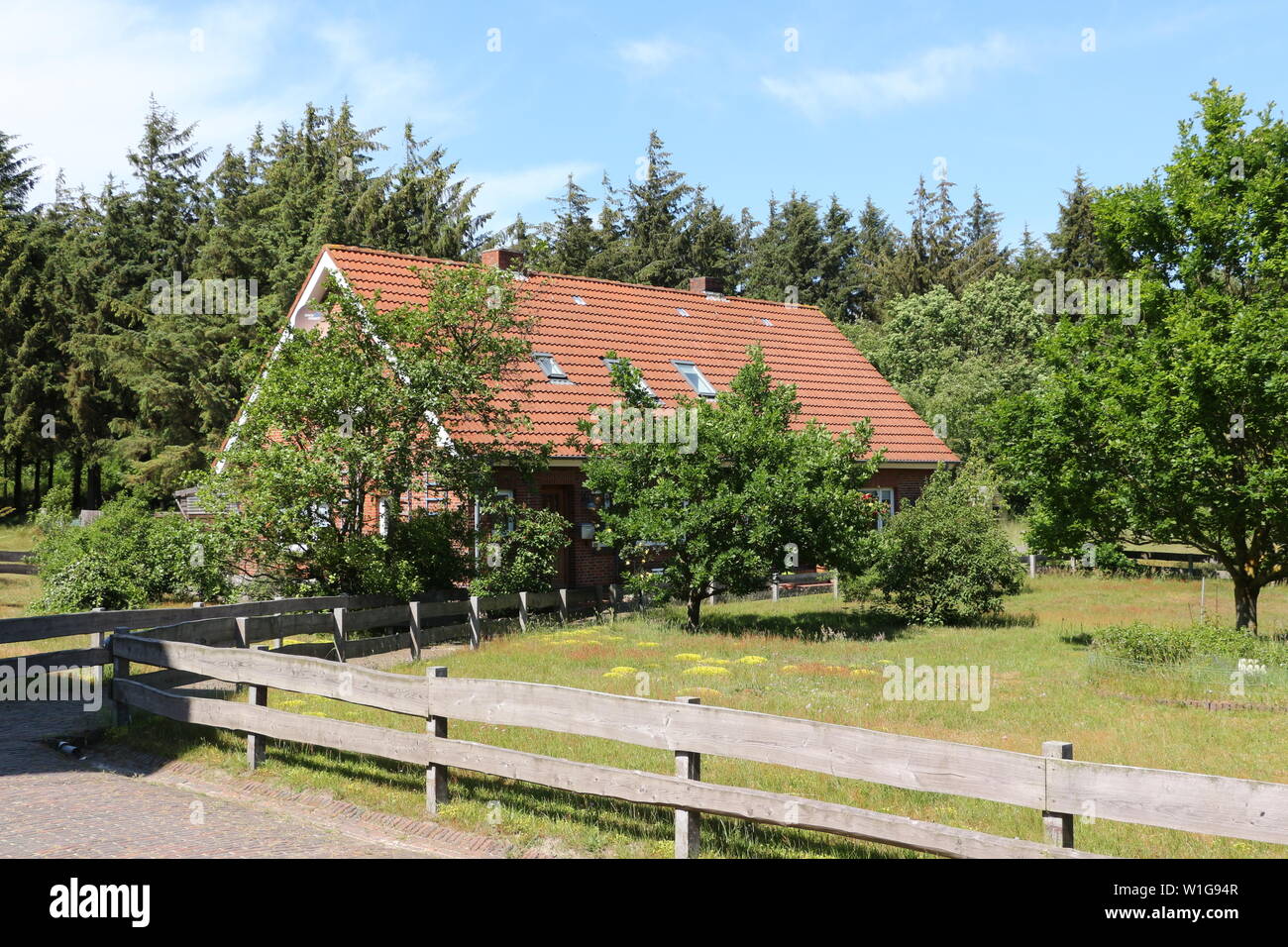 Sommer auf der Nordseeinsel Amrum Stock Photo - Alamy