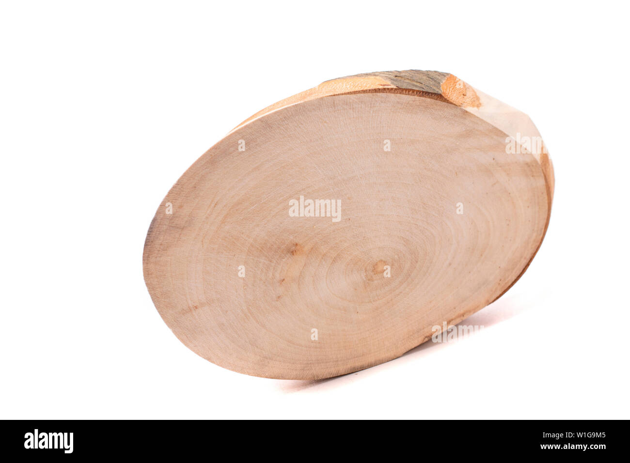 slab of wood isolated on a white background Stock Photo - Alamy